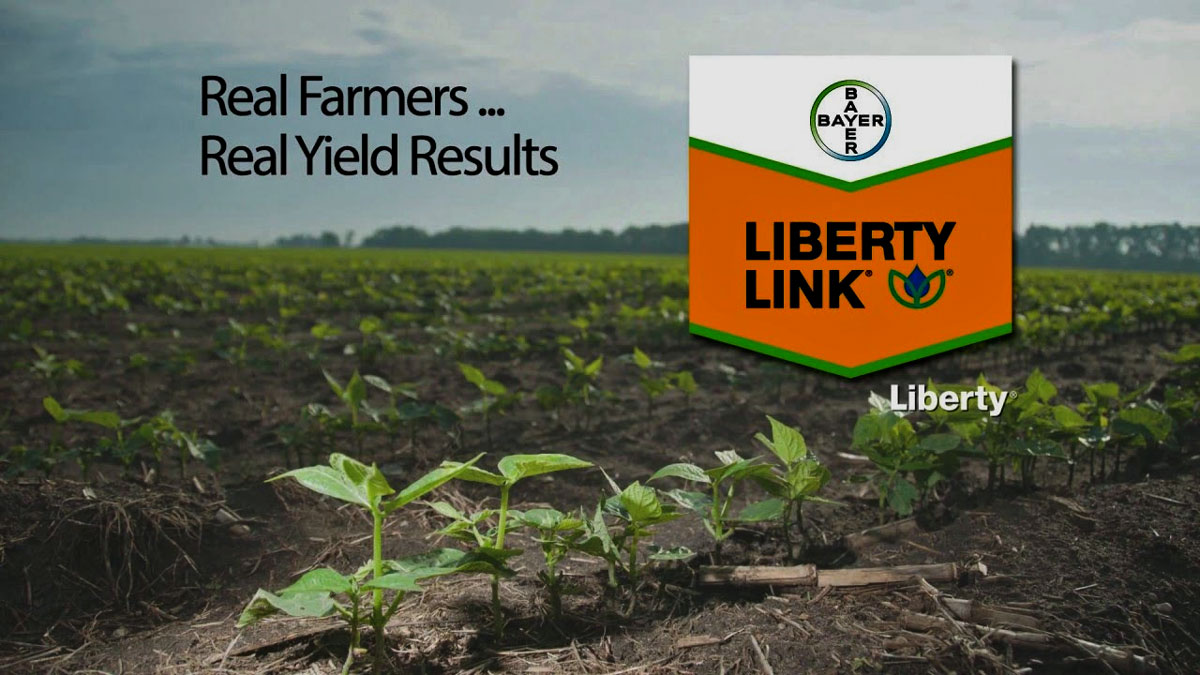 Survey Shows LibertyLink System Rates Highest With Growers | AgWired
