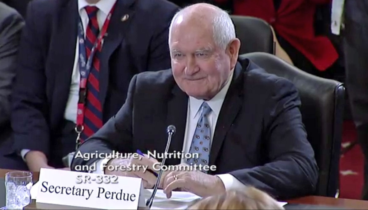 Perdue Celebrates Anniversary With Senate Ag Committee | AgWired