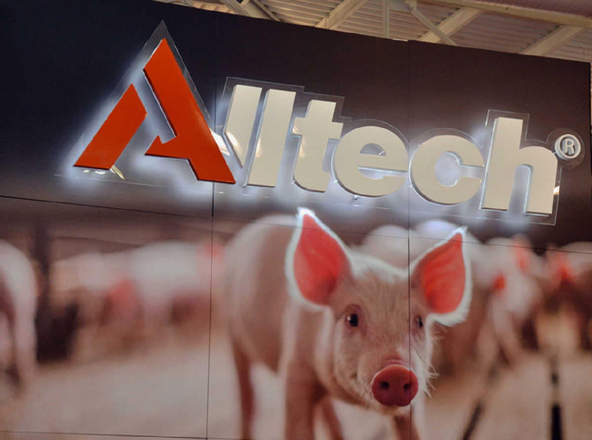 Alltech’s Total Replacement Technology Boosts Performance | AgWired