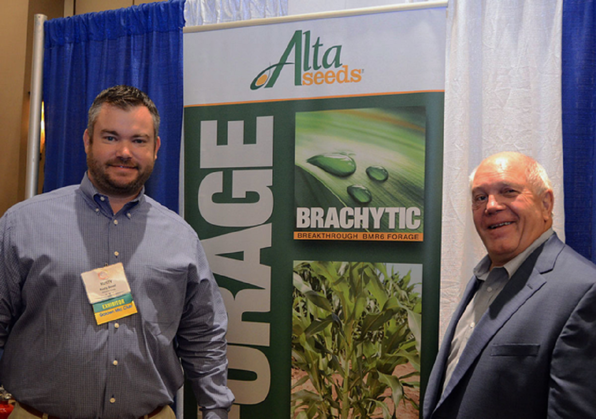Growers Look to Sorghum as Alternative Forage Crop | AgWired