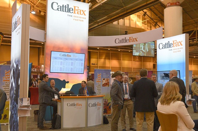 CattleFax Previews 2019 Market | AgWired