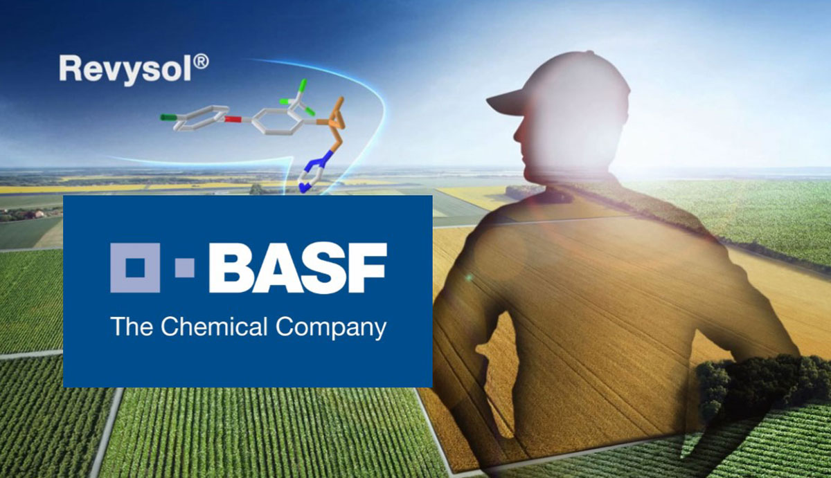 BASF Receives EPA Registration for Revysol Fungicide | AgWired