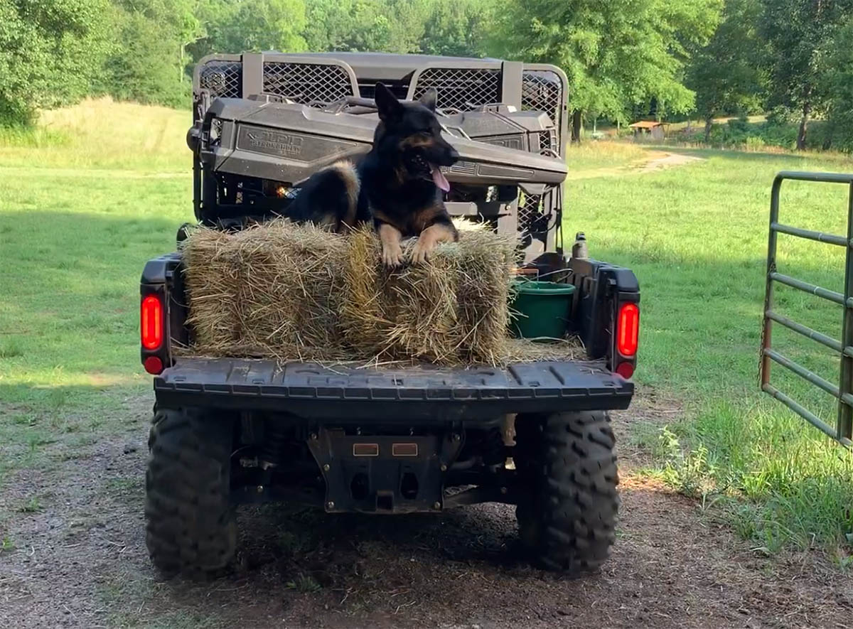 Can-Am on the Farm | AgWired