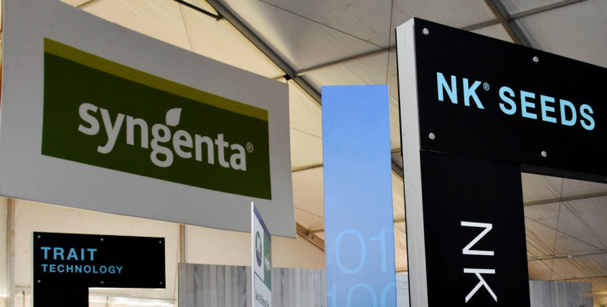 NK Corn Portfolio Offers Strong Genetics, Traits | AgWired