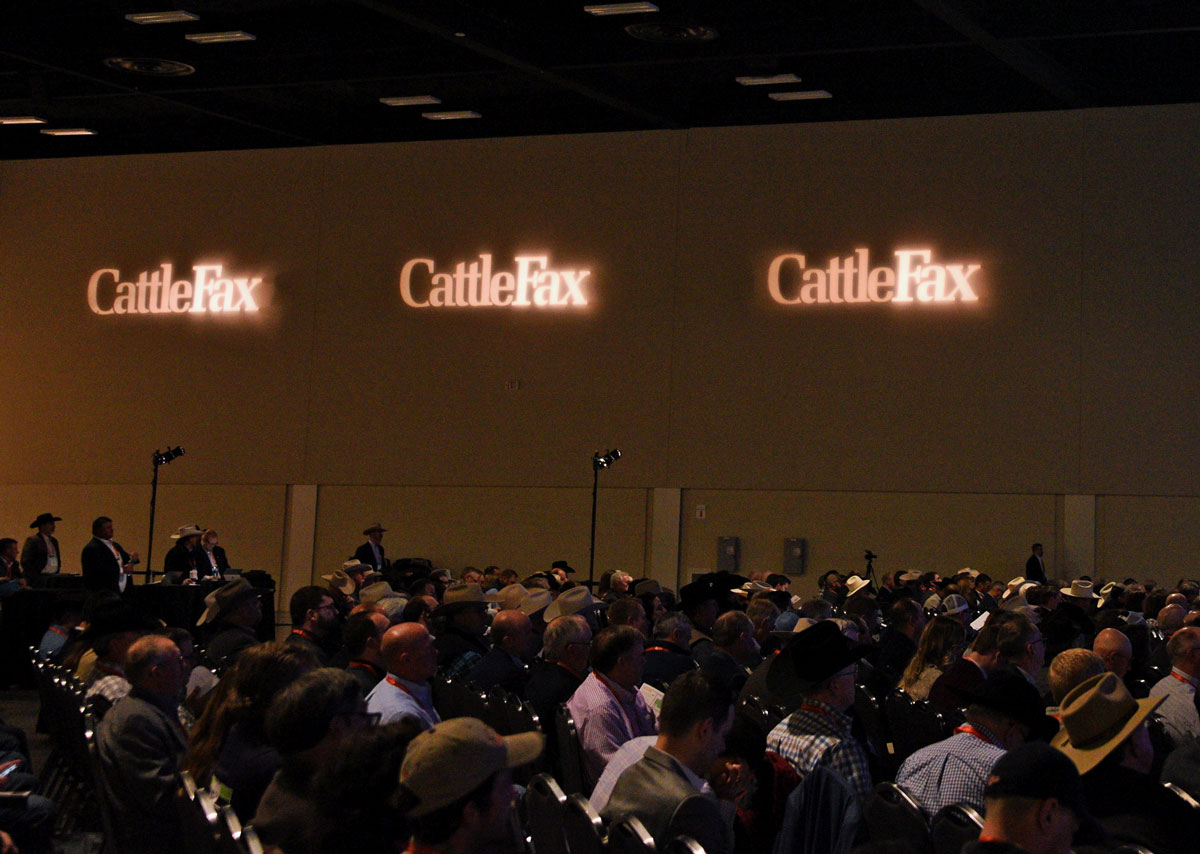 CattleFax Provides Industry Outlook | AgWired
