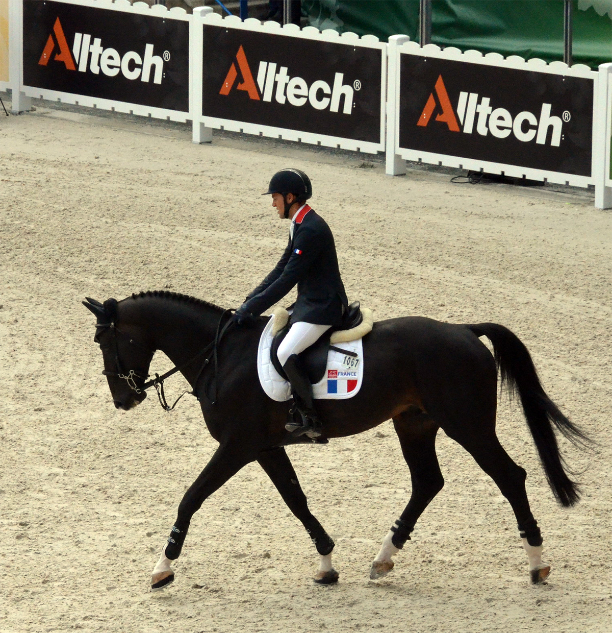 Alltech ONE Equine Track is a Winner | AgWired