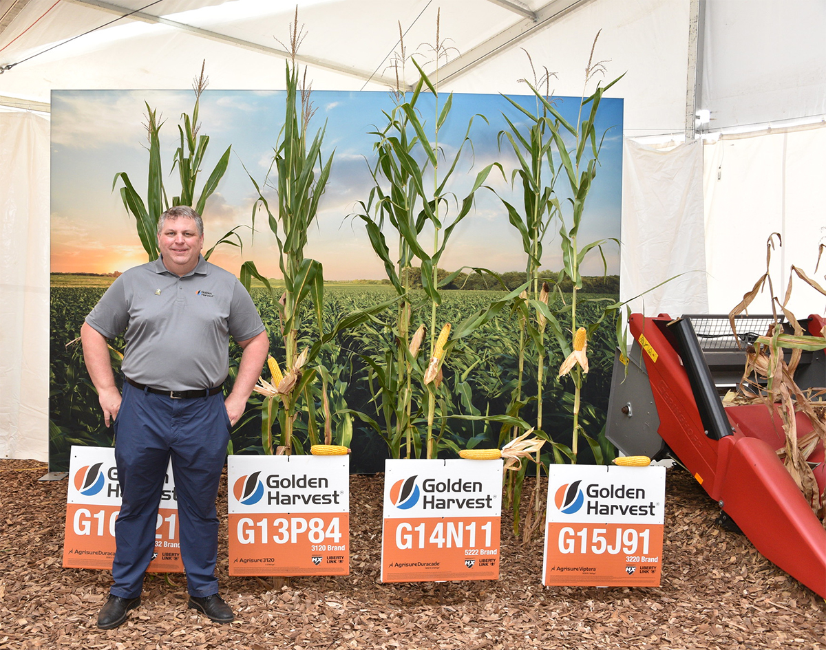 New Hybrids Join Golden Harvest® Corn Portfolio | AgWired