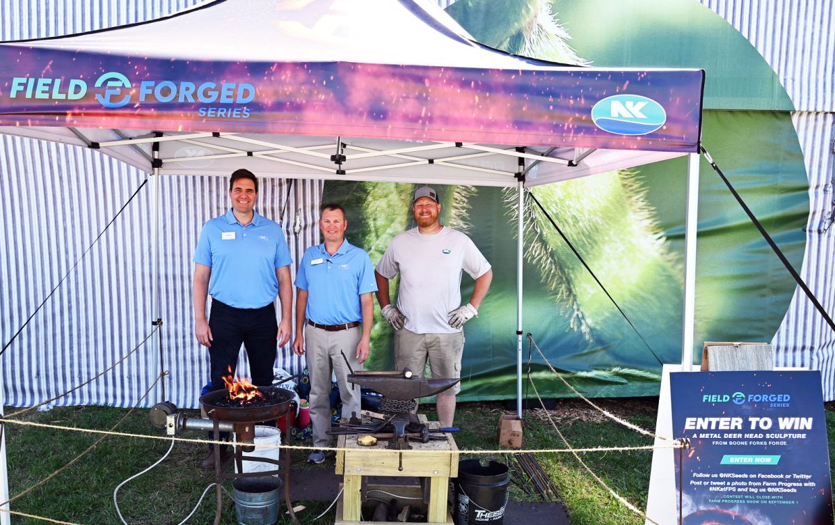Field Data Supports NK Seeds 2023 Field Forged Series | AgWired