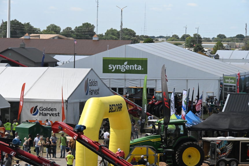 Syngenta Seeds Gives Farmers Options | AgWired